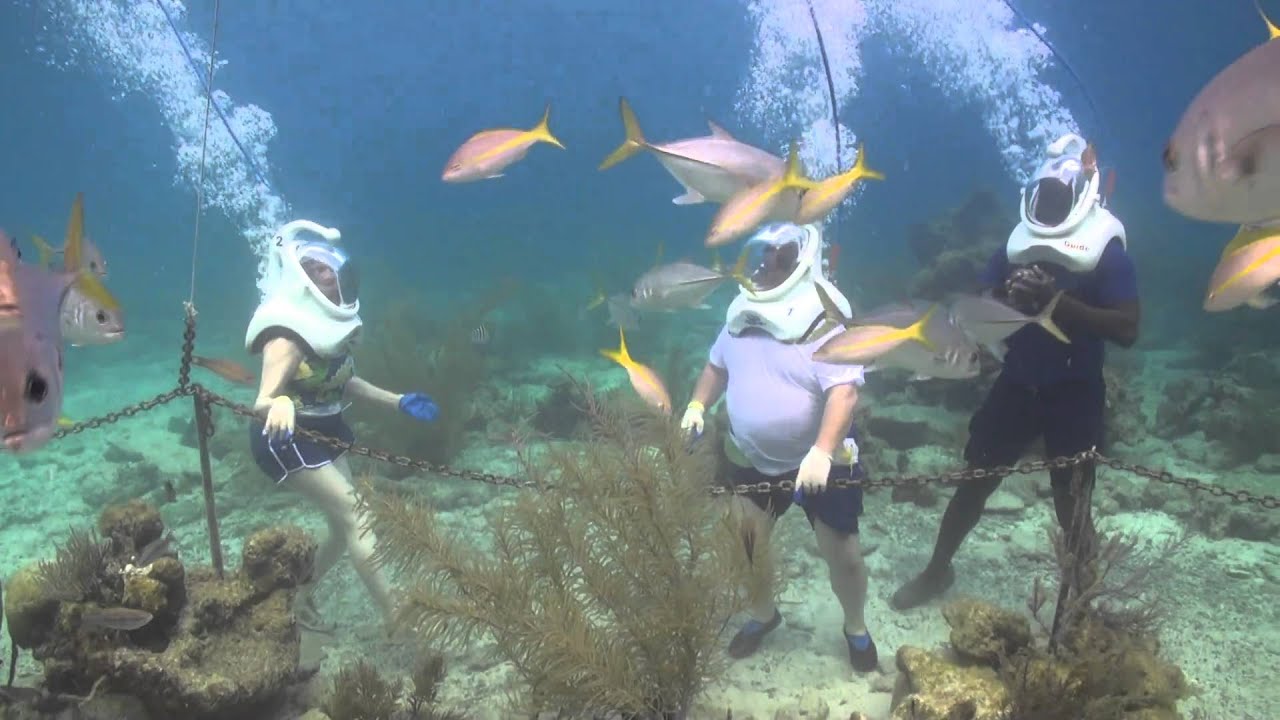 Sea Trek Adventure in St. Thomas (Video 19) - YouTube
