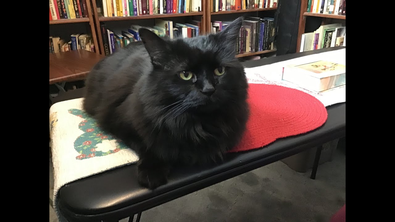 Tarot For Today: Goth Tarot? March 27 - April 2, 2024 [Pre-recorded ...