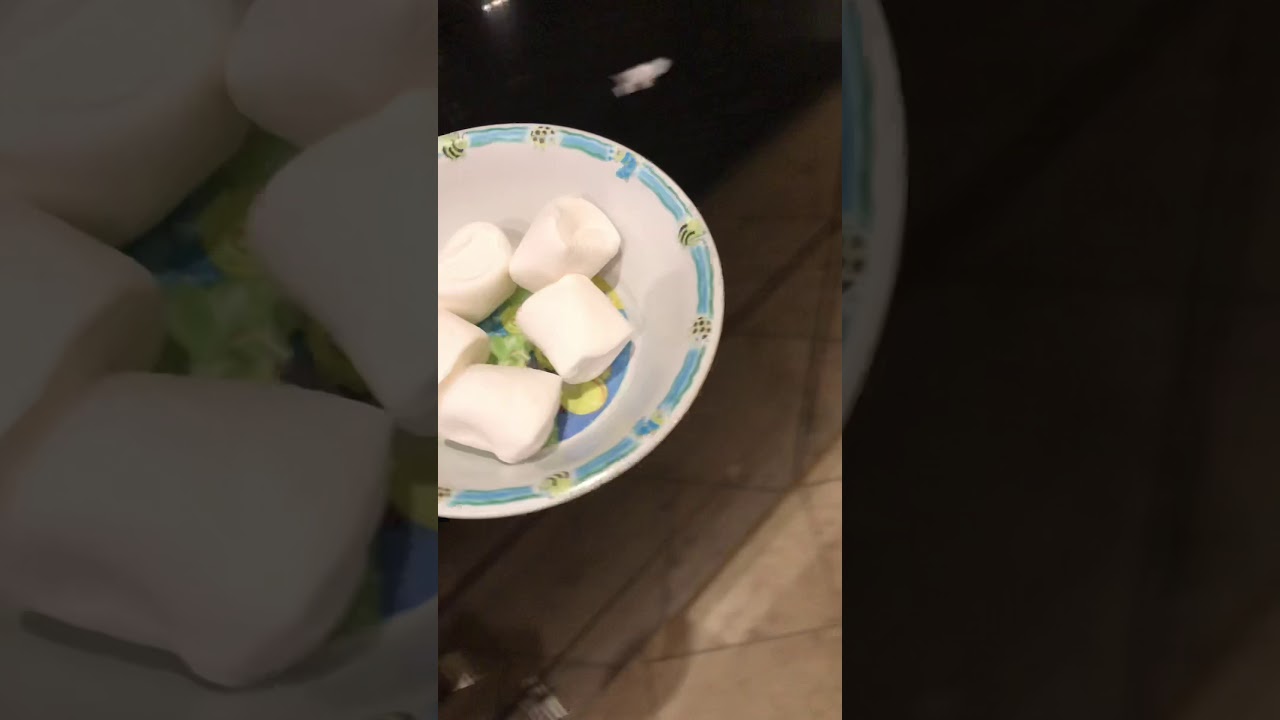 Magic Marshmallow Trick - YouTube