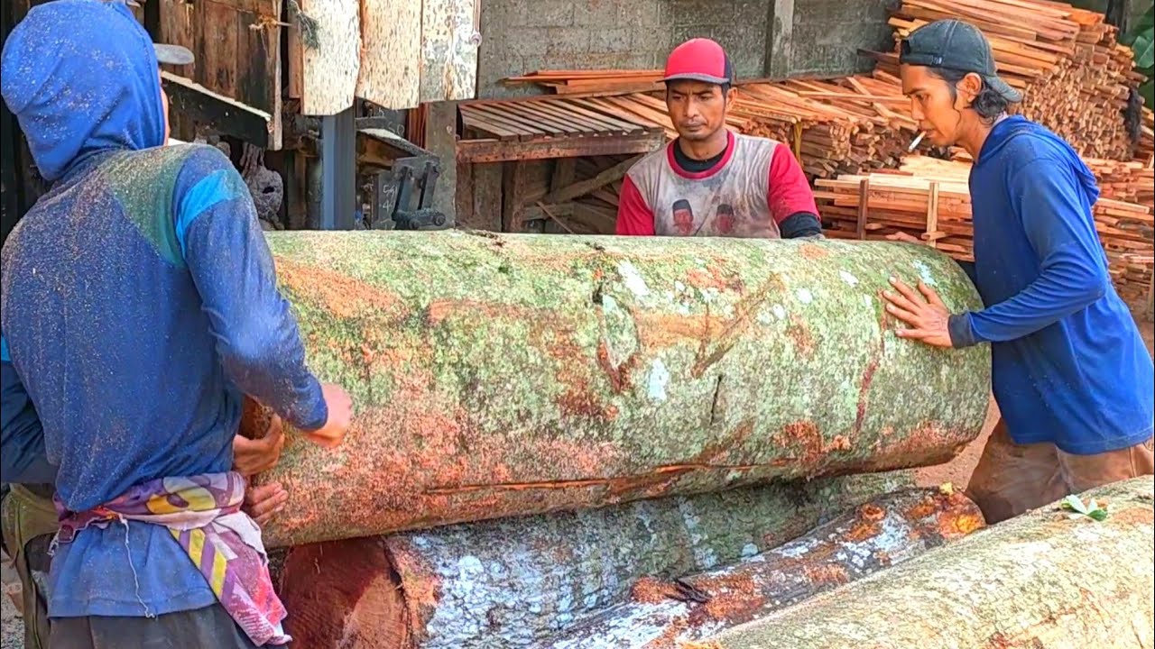 Operator Kalap.! Dapat jackpot glondong Terbesar bahan Tongkat Pramuka ...
