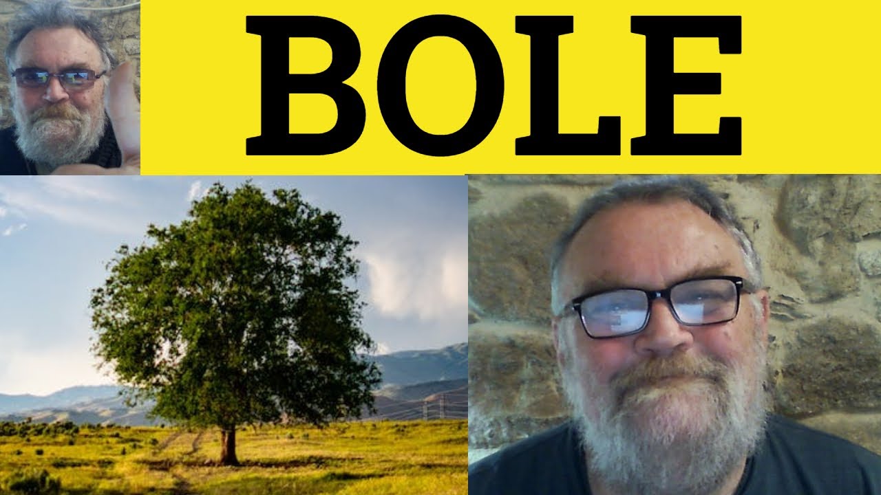 🔵 Bole Meaning - Bole Examples - Bole Definition - Bole - YouTube