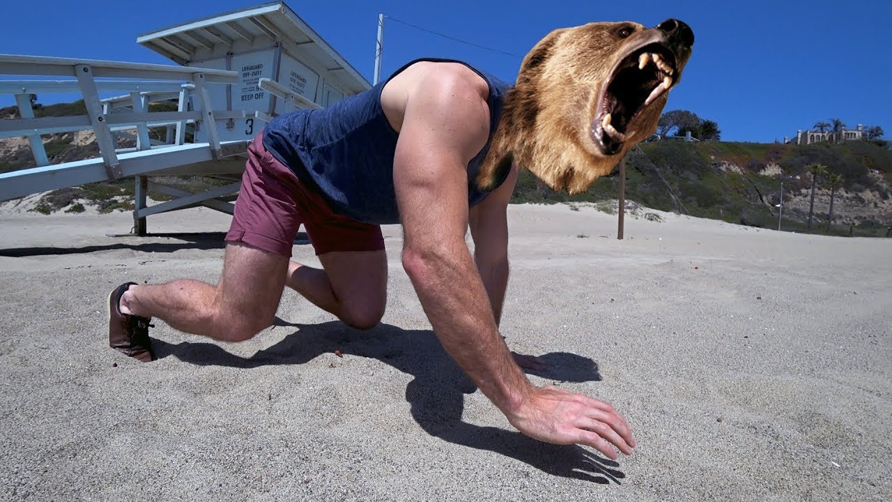 How to Perform Bear Crawls | Exercise Tutorial - YouTube