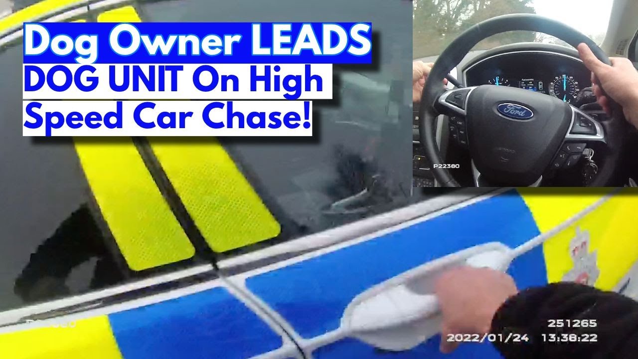 Police DOG UNIT In CAR CHASE With Dog Owner! - YouTube