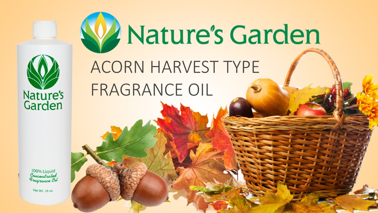 Acorn Harvest Fragrance Oil - Nature's Garden - YouTube