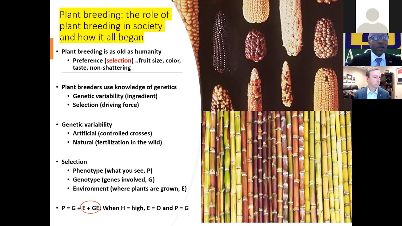Plant Breeding: The Role of Plant Breeding in Society and How it all ...