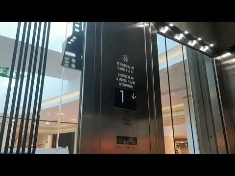 VERY BUSY 2018 Kone MonoSpace 500 DX (MX20) - YouTube