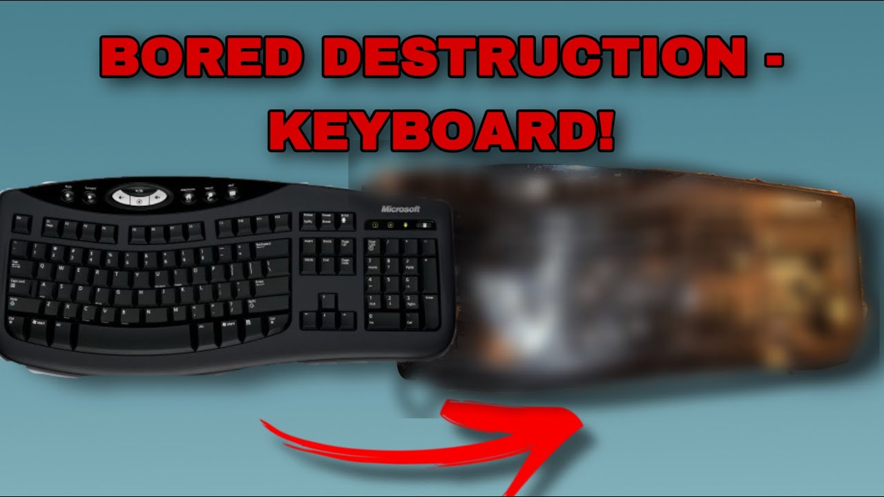 BORED DESTRUCTION - Keyboard! - YouTube