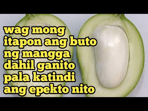 wag mong itatapon ang buto ng mangga ganito Pala katindi ang epekto ...