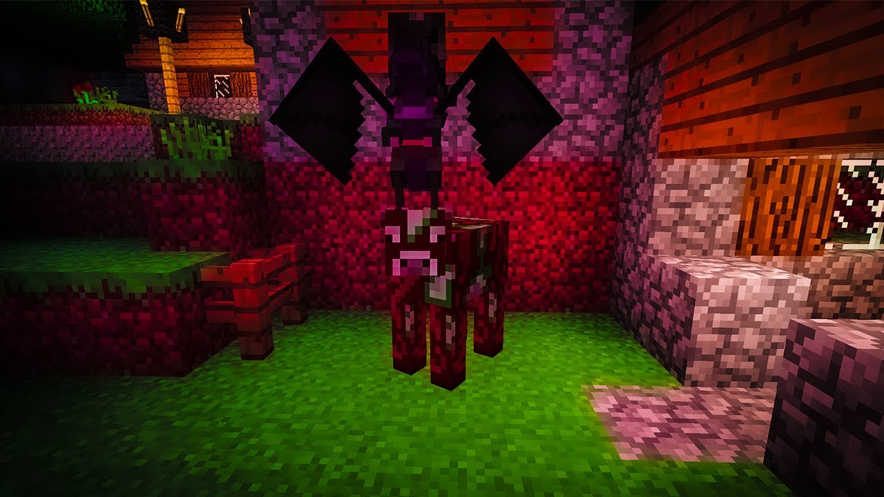 I SET UP A Modded Minecraft Server... Part 2 (CRAZY CRAFT 3.0) - YouTube