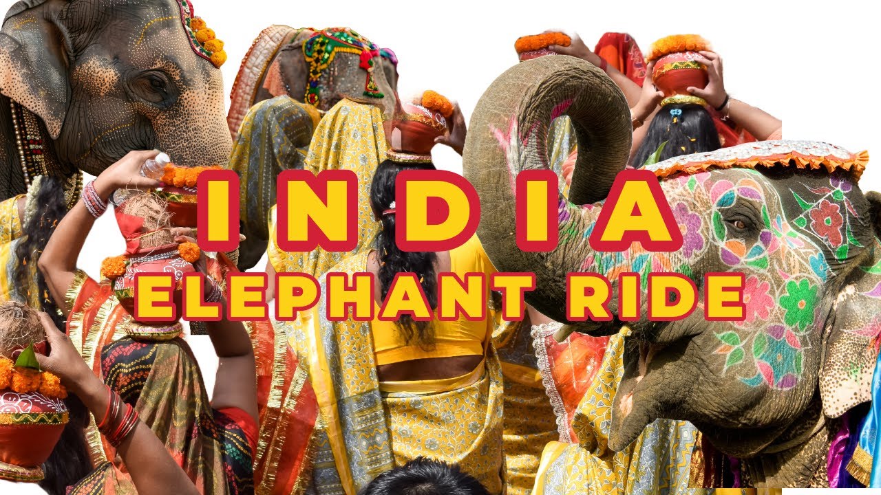 ELEPHANT RIDE IN INDIA FOR THE FIRST TIME ! - YouTube