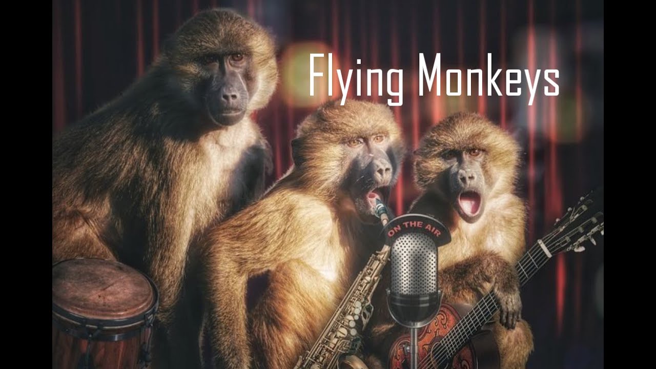 🙉🙊🙈 Flying Monkeys - Die fliegenden Affen des Narzissten 🙈🙉🙊 - YouTube