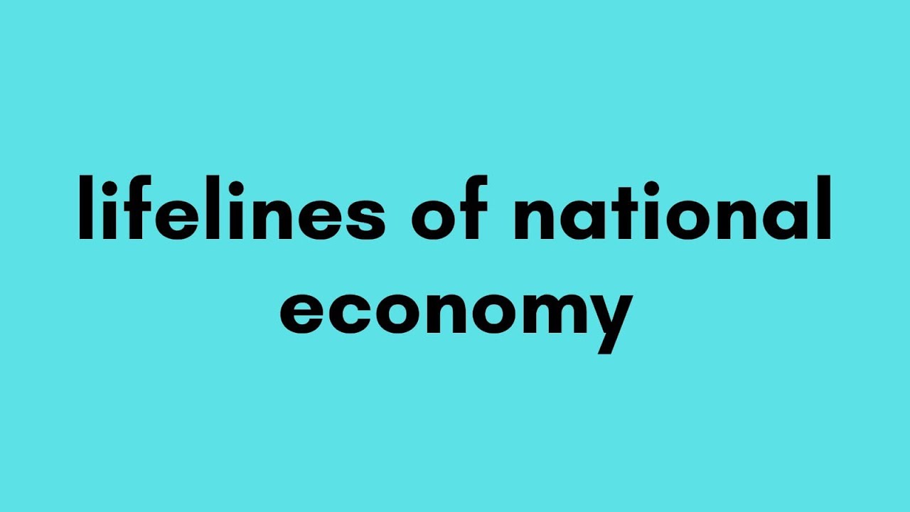LIFELINES OF NATIONAL ECONOMY GRADE 10 GEOGRAPHY - YouTube