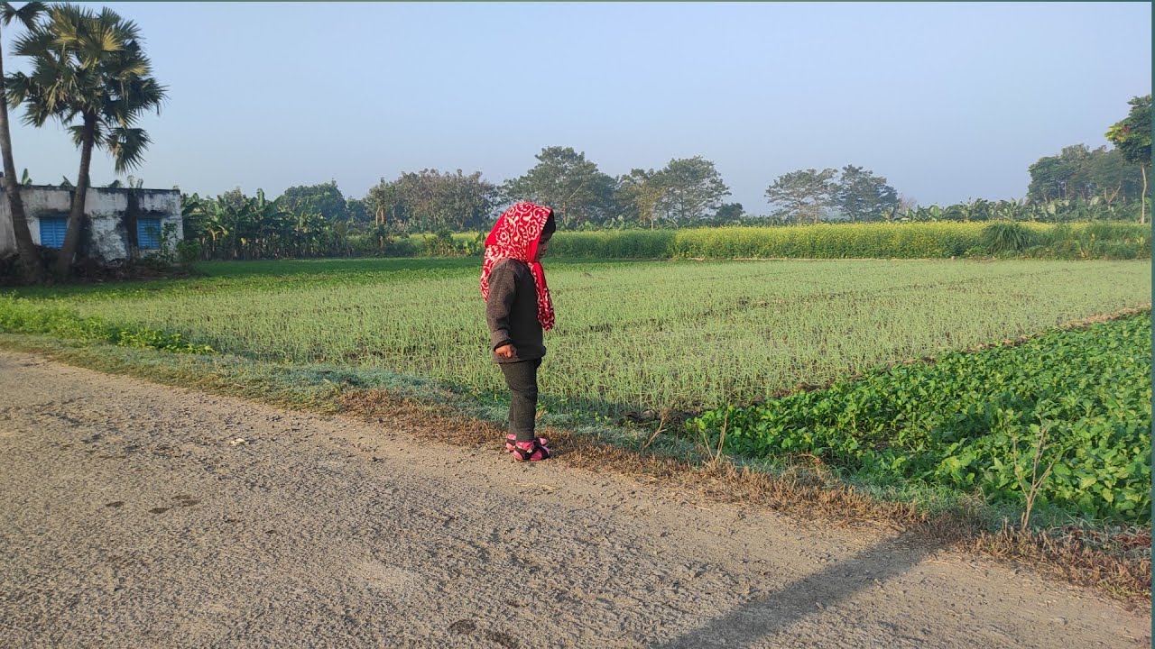 baby morning routines | kids morning work | for kids videos - YouTube