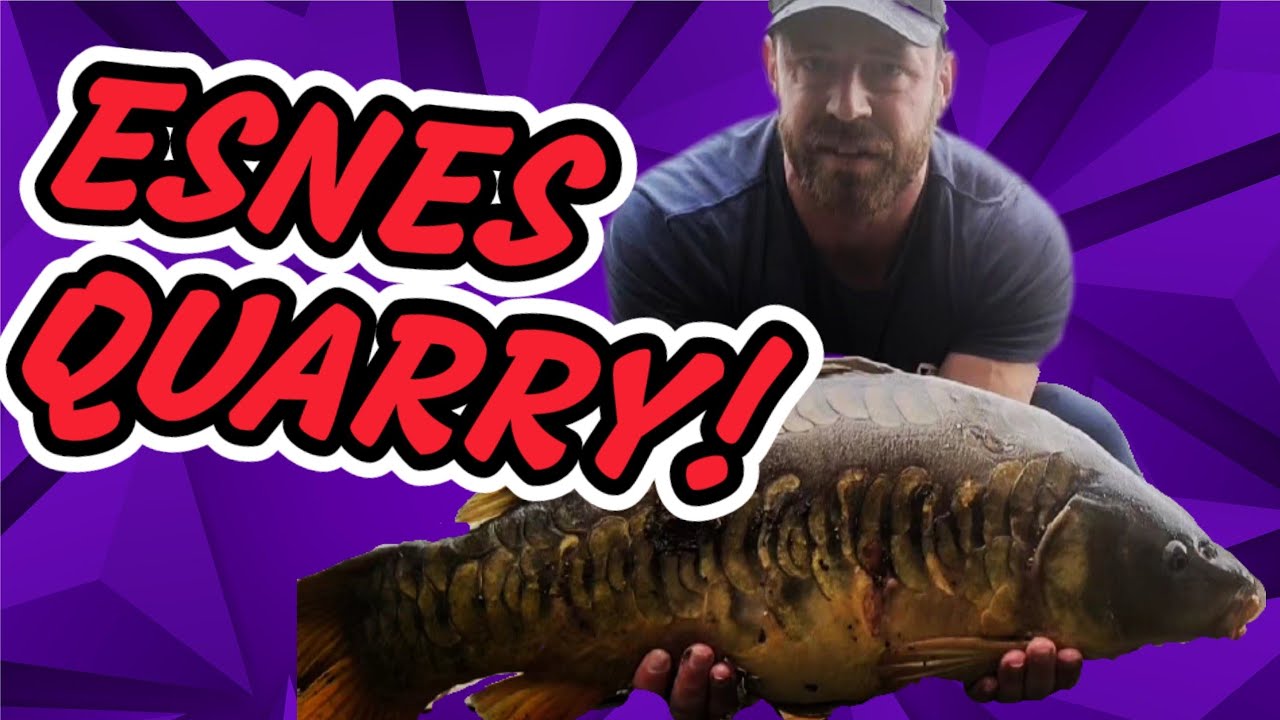 IS THIS PARADISE? 👀 | ESNES QUARRY! 24HR SESSION | CARP FISHING 2023 ...
