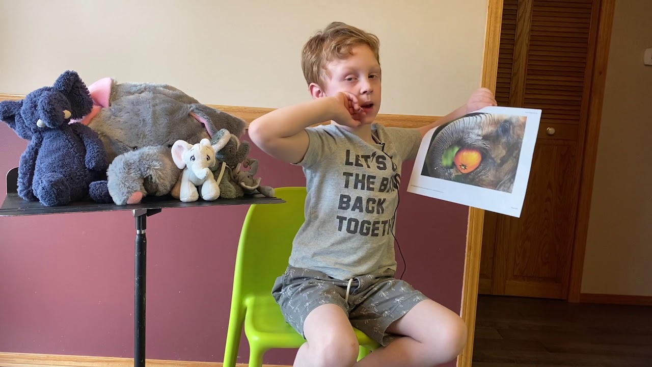 Oscar's Elephant Show about Elephants HD 1080p - YouTube