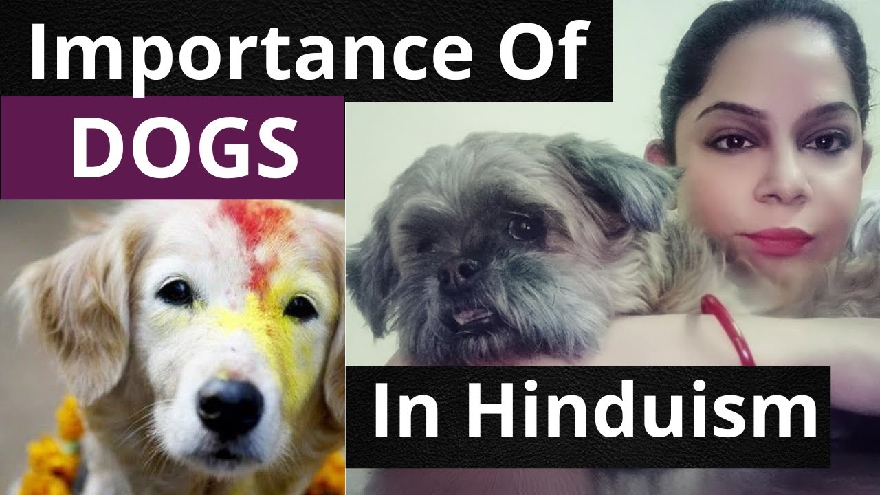 Dogs In The Hindu Mythology || Importance Of Dogs In Hinduism || Dogs ...