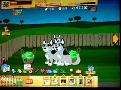 How to play Happy Pets - YouTube