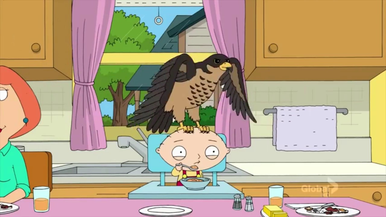 The Family Guy | Peter Gets A falcon - YouTube