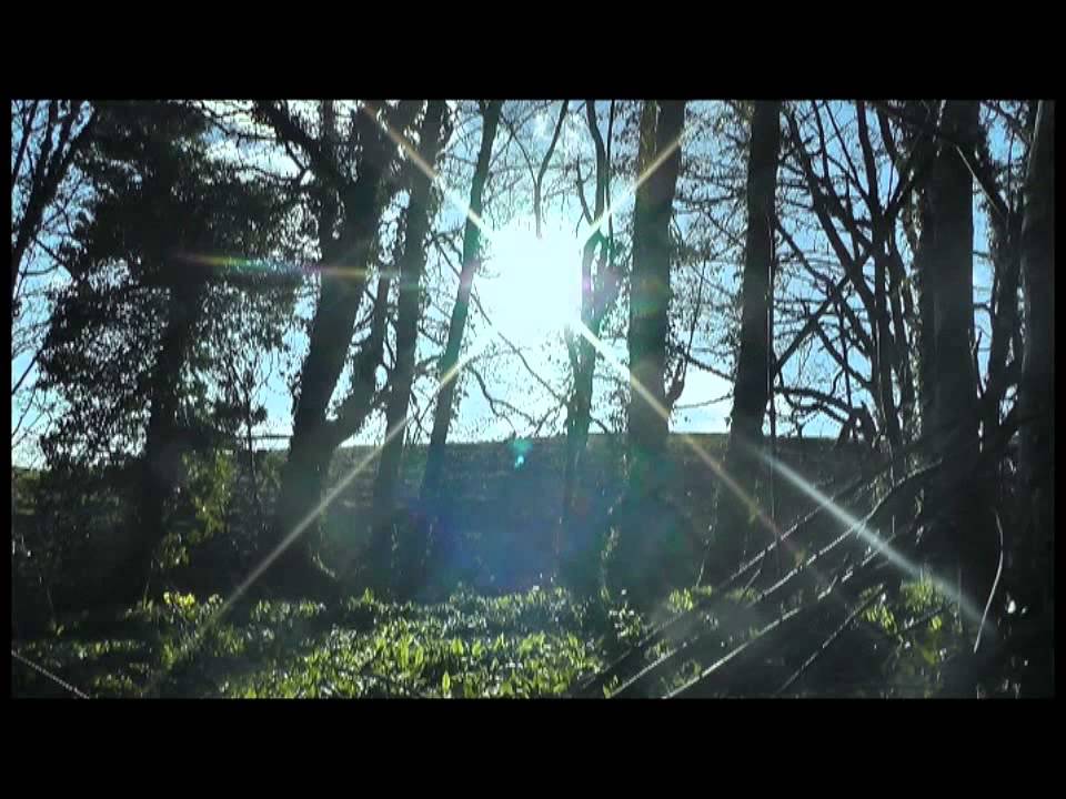 My Movie fade effect - YouTube