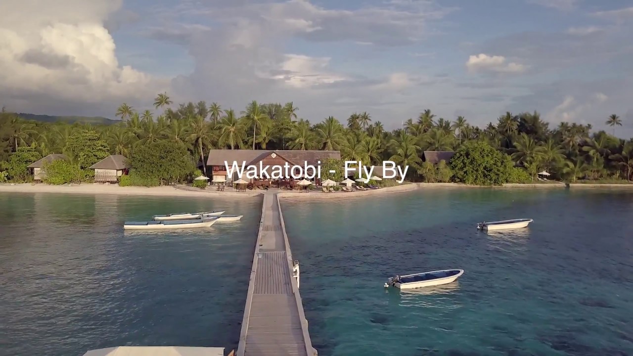 Waka Fly By - YouTube