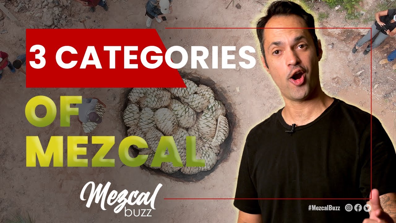 Discover the Secrets of Mezcal: Unveiling the 3 Categories Every ...