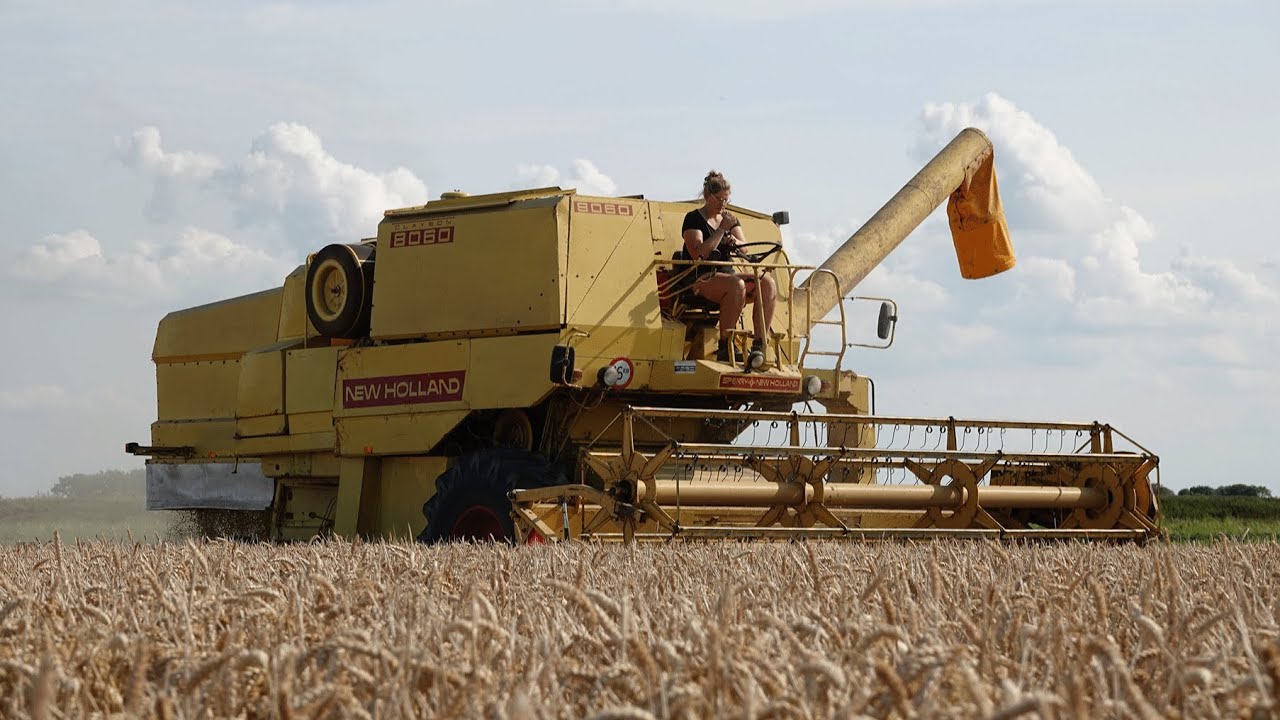 Classic Combine | New Holland Clayson 8060 cabrio | Classic wheat ...