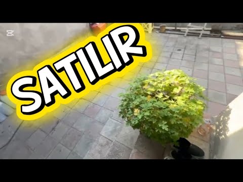 Xırdalanda 3 dənə Məktəbin Arasında 4 Otaqli Həyət Evi Satılır 