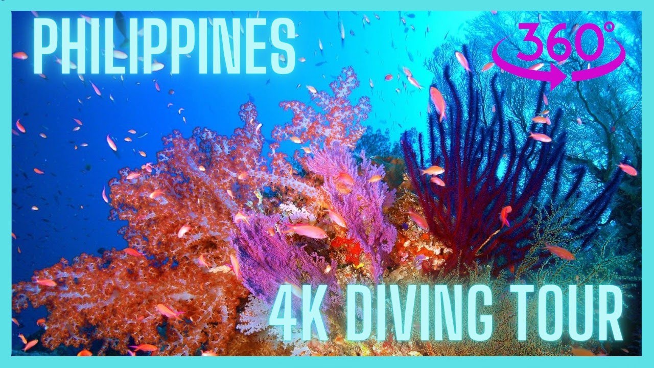 🌊 🐠 Underwater Miracle: Discover the Magic of the Coral Reef in 360 ...