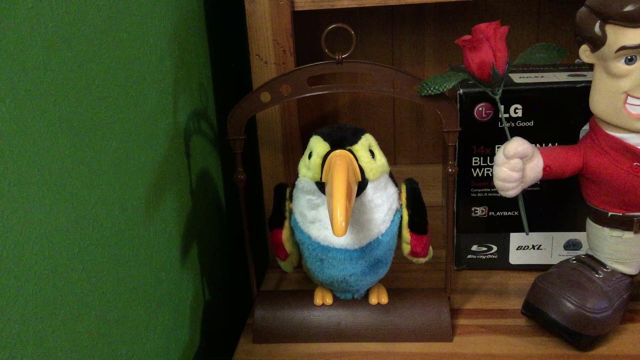 Talking Toucan - YouTube