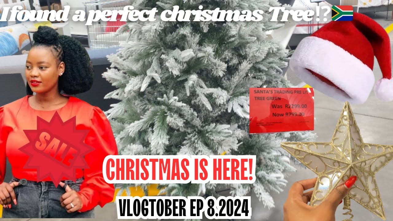 MAKRO| I FOUND A PERFECT CHRISTMAS TREE 🎄 | SOUTH AFRICAN YOUTUBER ...