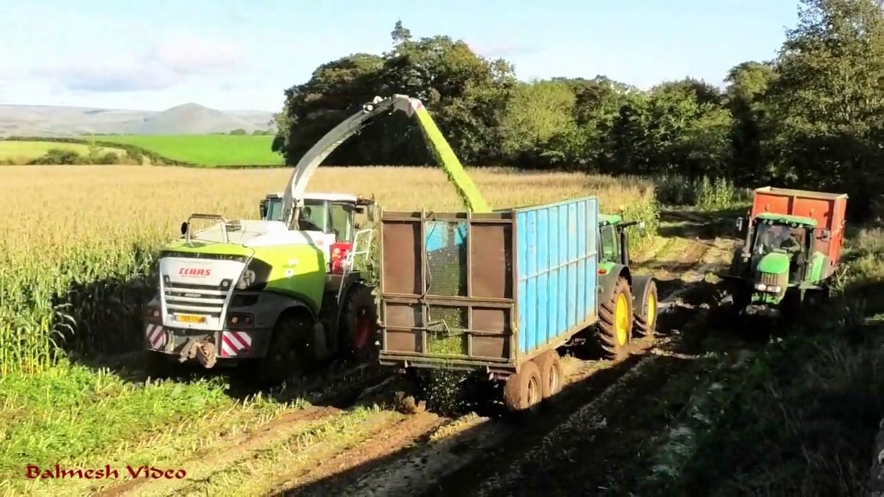 Two Choppers in the Maize. - Claas 970 action with John Deere. - YouTube