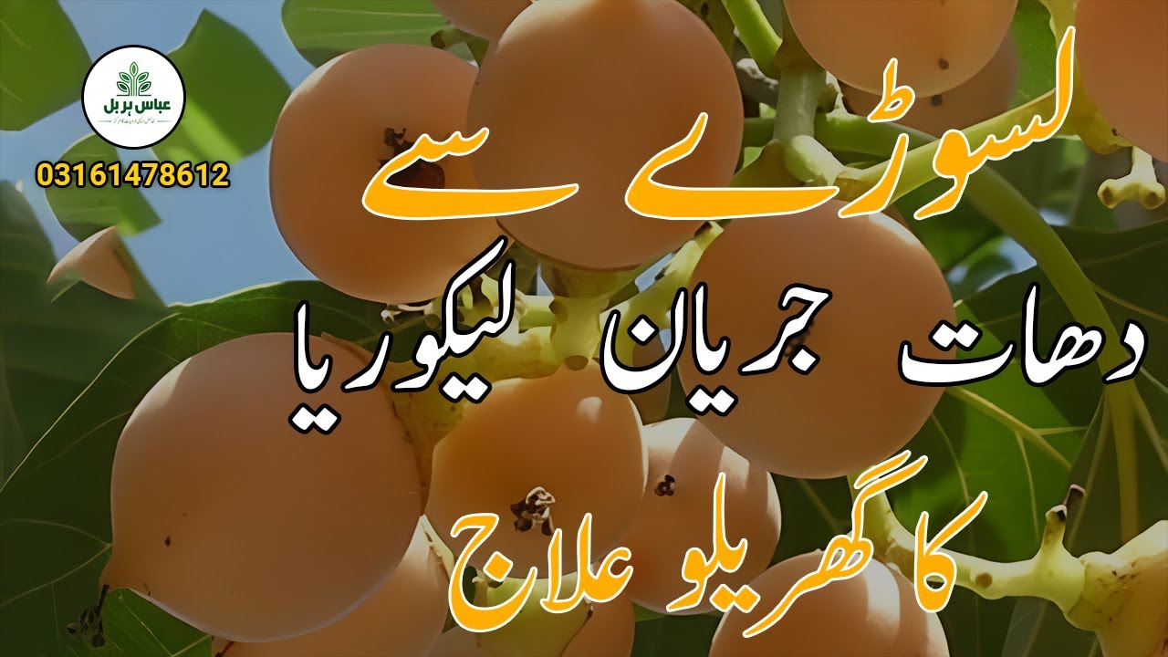 Dhat Jaryan Likoria ka ilaj Herbal Medicine in Urdu - Abbas Herbal ...