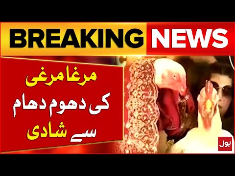 Hen Marriage in Lahore | Interesting News | Breaking News