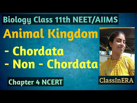 Flow chart | Animal Kingdom | Chordate and Non - Chordate | Class 11th ...
