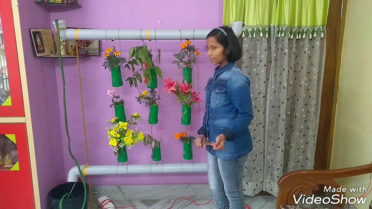 HYDROPONICS science project..by Subhangi.. - YouTube