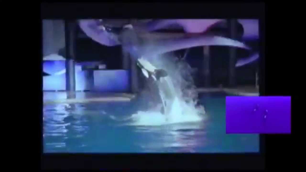 Davida Loca - B U - YouTube