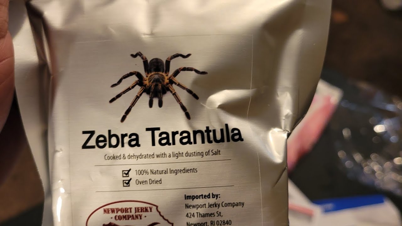 #tarantula #review #food #dried Zebra Tarantula (review challenge ...