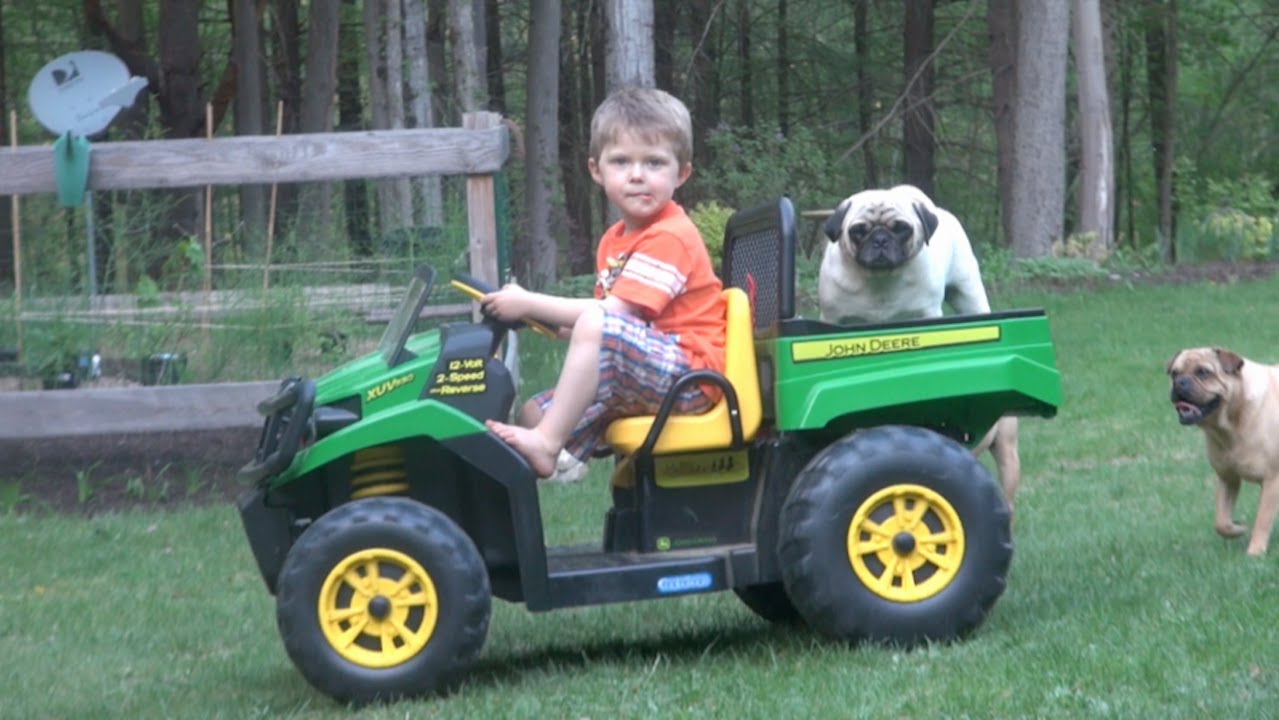 PUG LOVES JOHN DEERE GATOR RIDES - YouTube