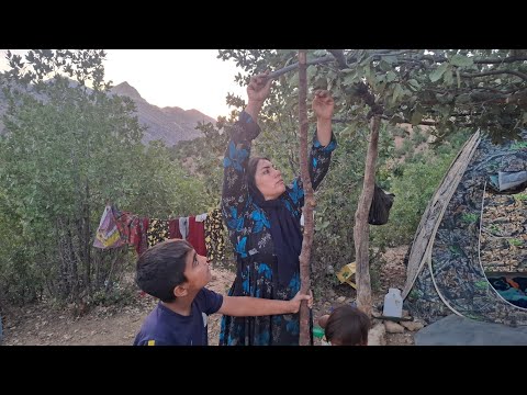 Wonder in the Mountains: A Single Mother's Ingenuity in Her Tunnel Home
