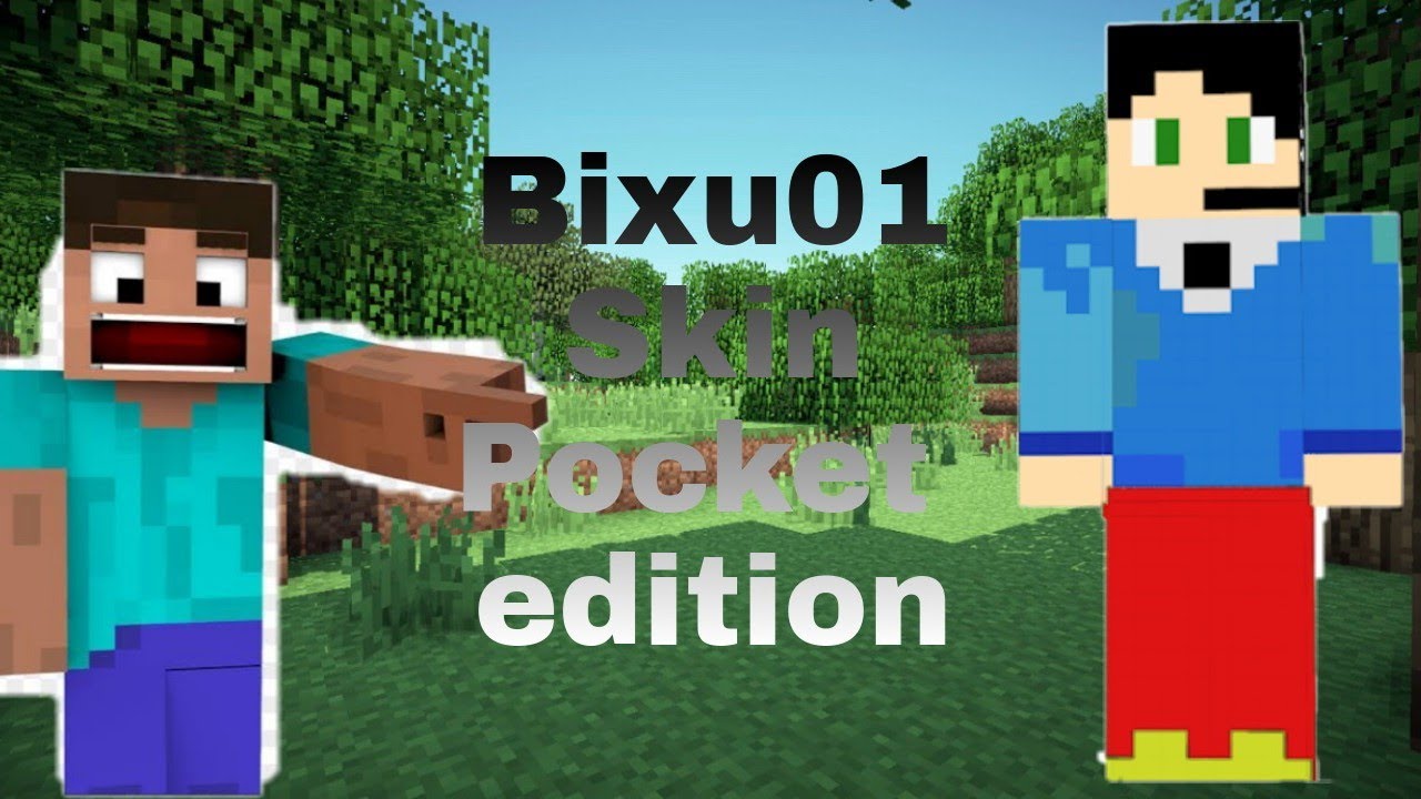 How to Download Bixu01 and AndreoBee Skin in Minecraft | Pocket edition ...