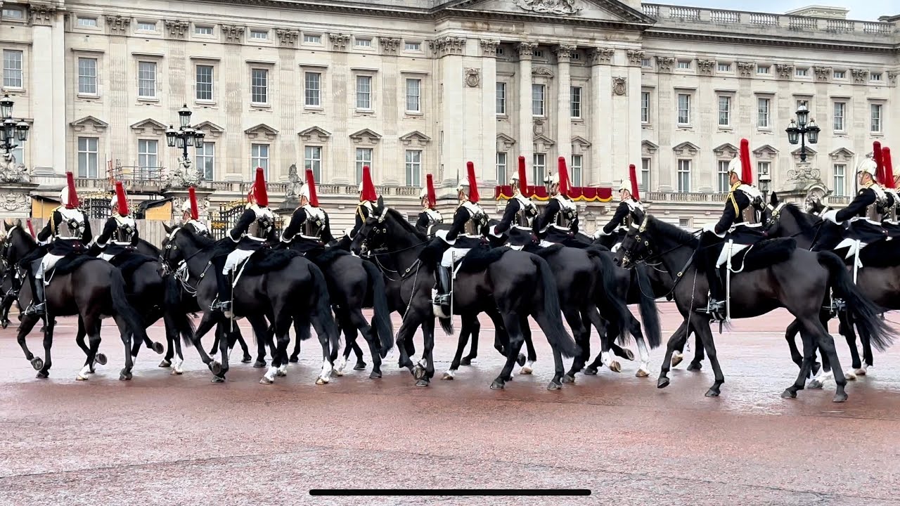 Majestic Horses March: Witness the Grace and Power of these Magnificent ...
