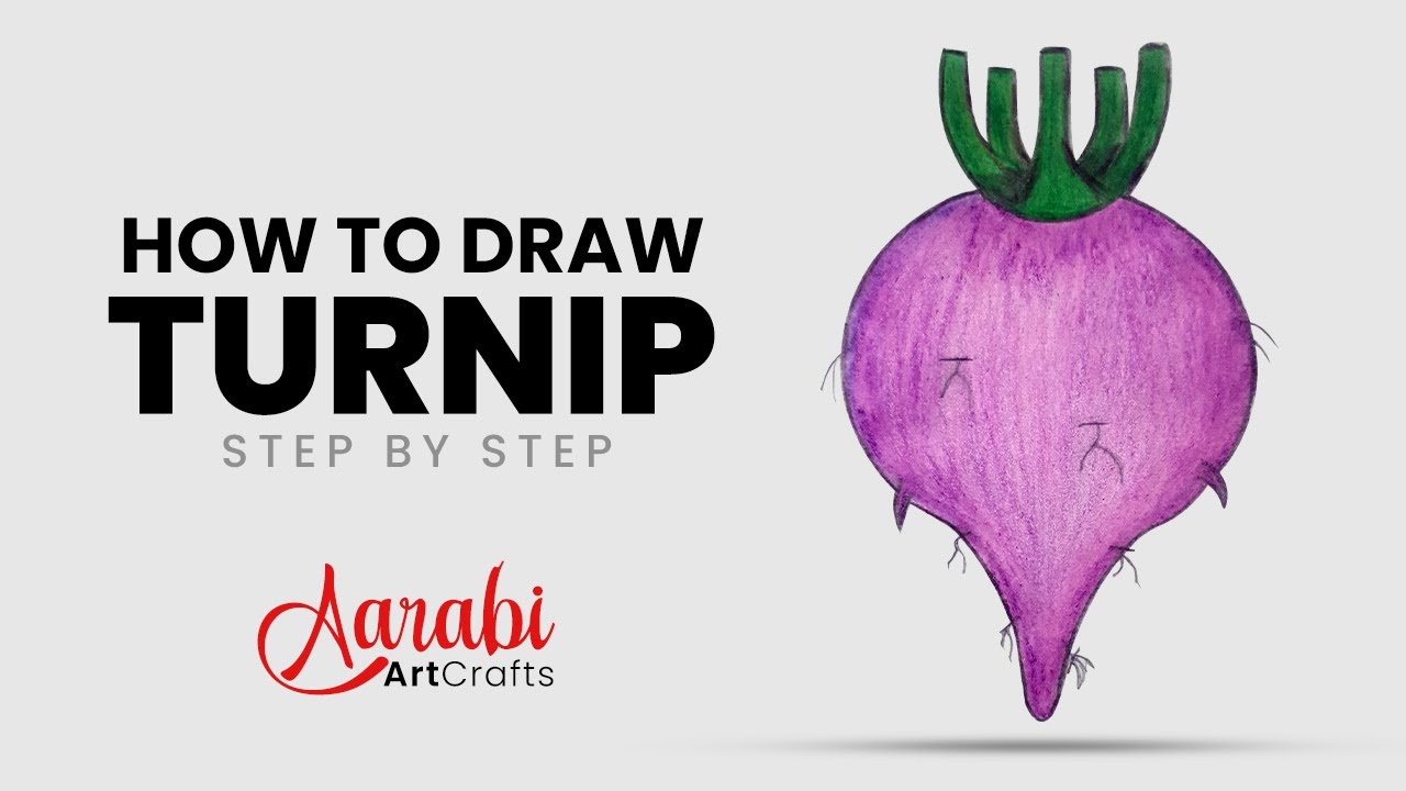 How To Draw A Turnip Step By Step