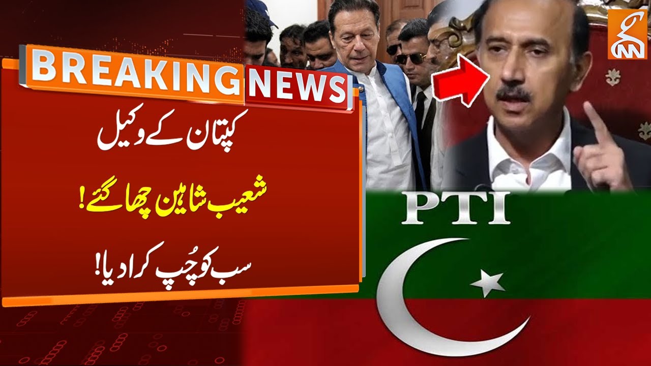 Imran Khan Lawyer Shoaib Shaheen Solid Arguments Breaking News Gnn