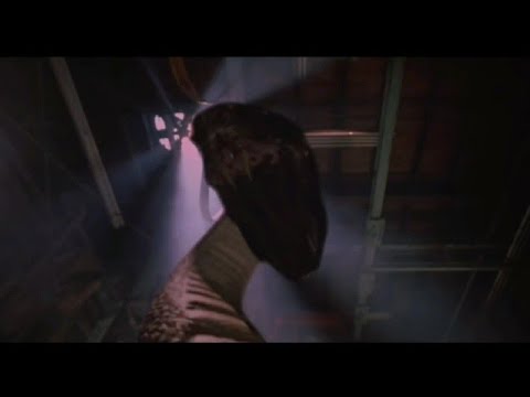 Python (2000) Cena Final