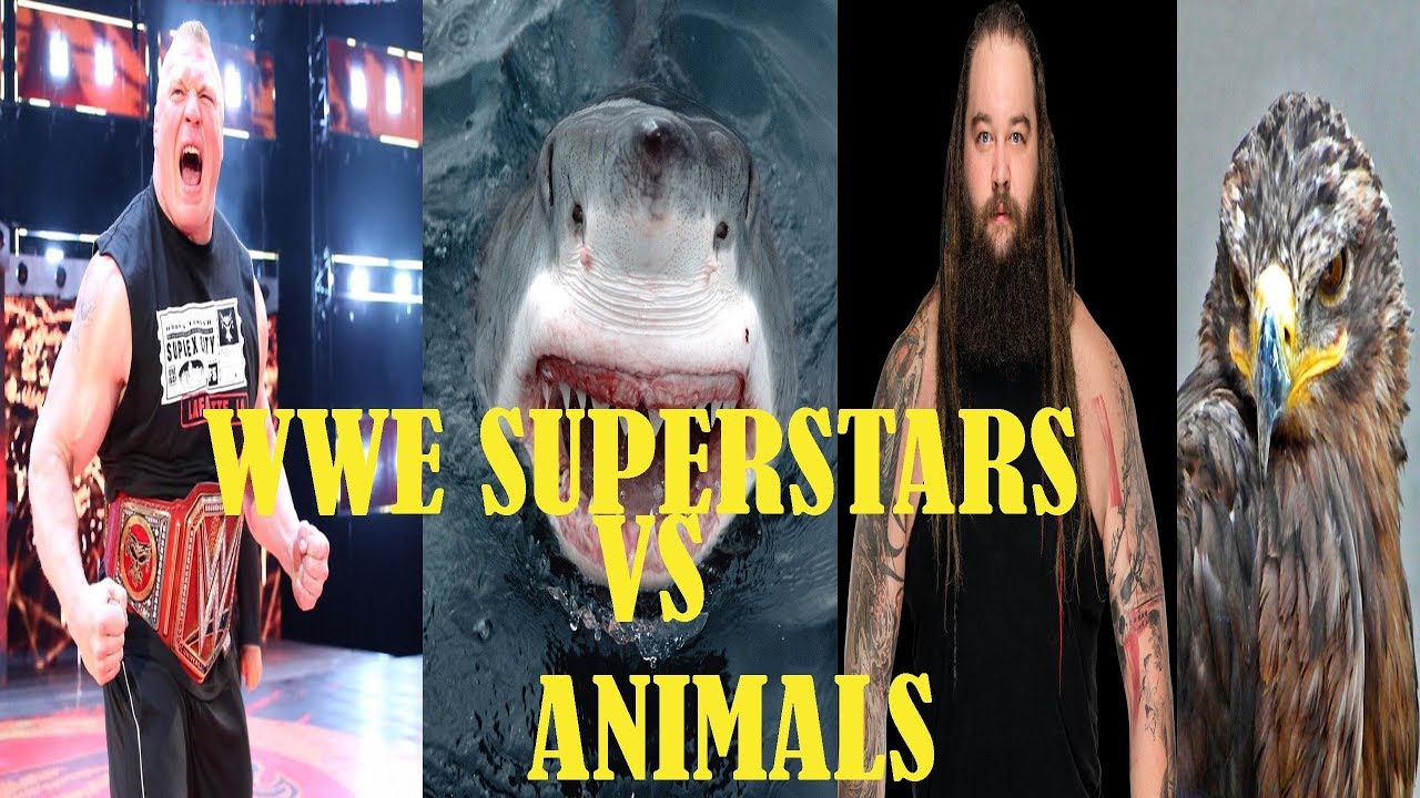 Top 20 WWE SUPERSTARS If They Were ANIMAL | WWE Superstar Spirit ...