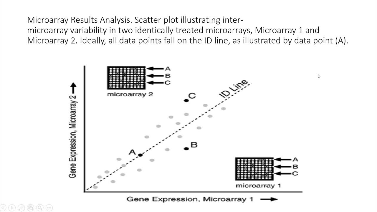 Understanding Microarray data - YouTube