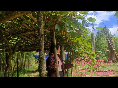 Visited to one of most beautiful house in ziro.... all with bamboo and ...