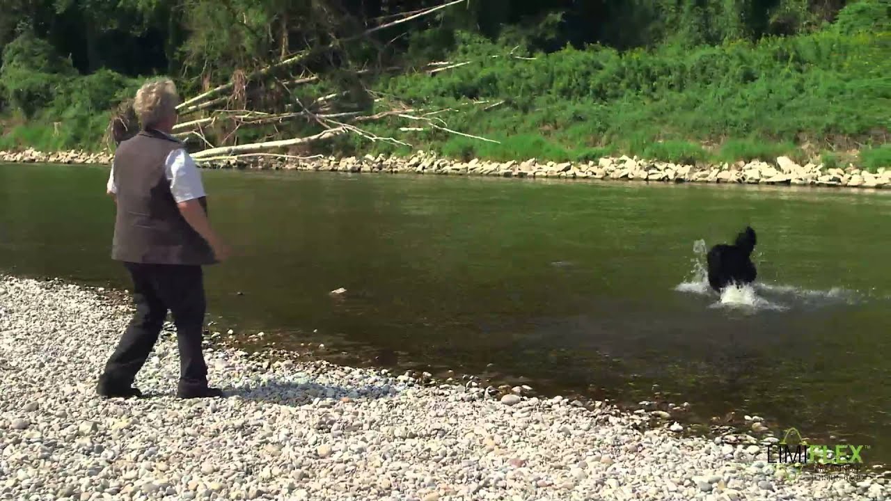 Testimonial: LIMIFLEX von simpirica spine ENGLISCH - YouTube