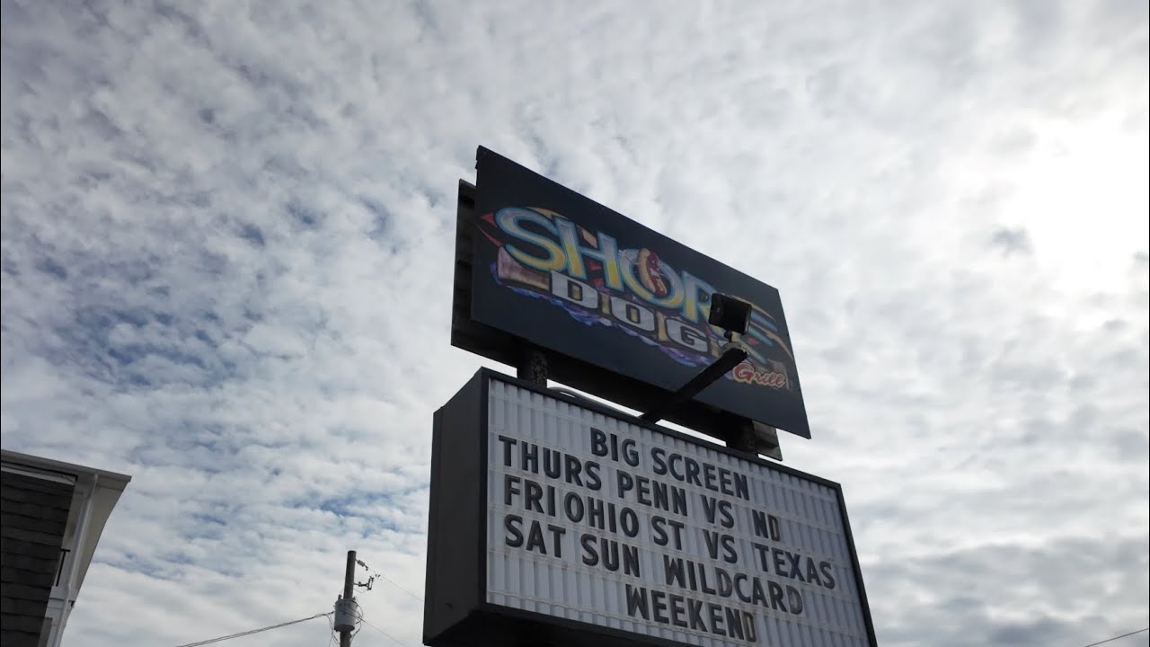 Shore Dogs | Panama City Beach Florida - YouTube