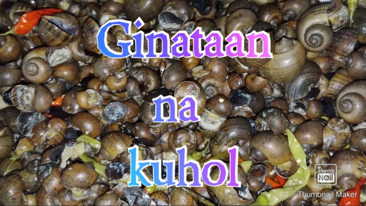 Exotic food,Ginataan kuhol #kuhol #ginataan #youtube #youtubeshort # ...